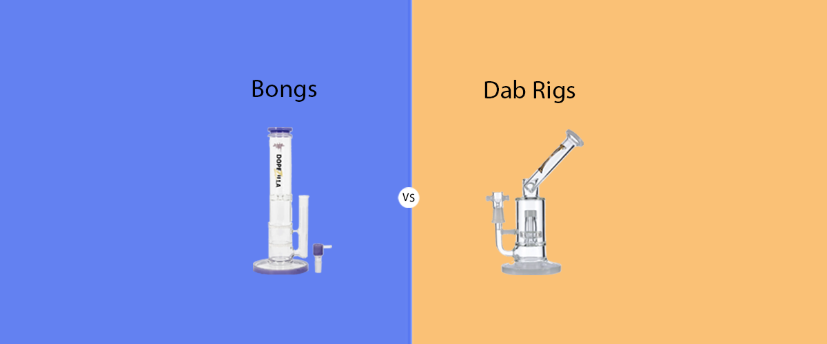 Bongs vs. Dab Rigs — BudBuddy